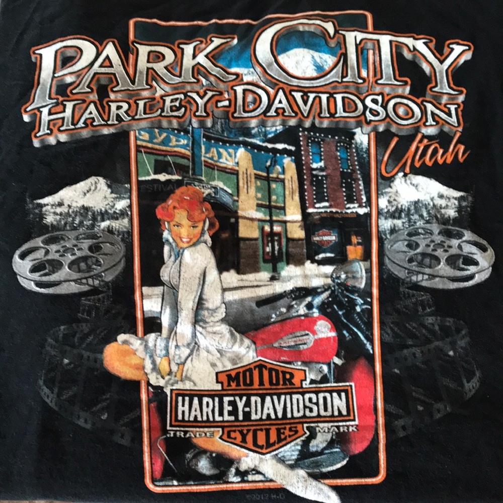 Harley Davidson Men’s T-Shirt - Gem